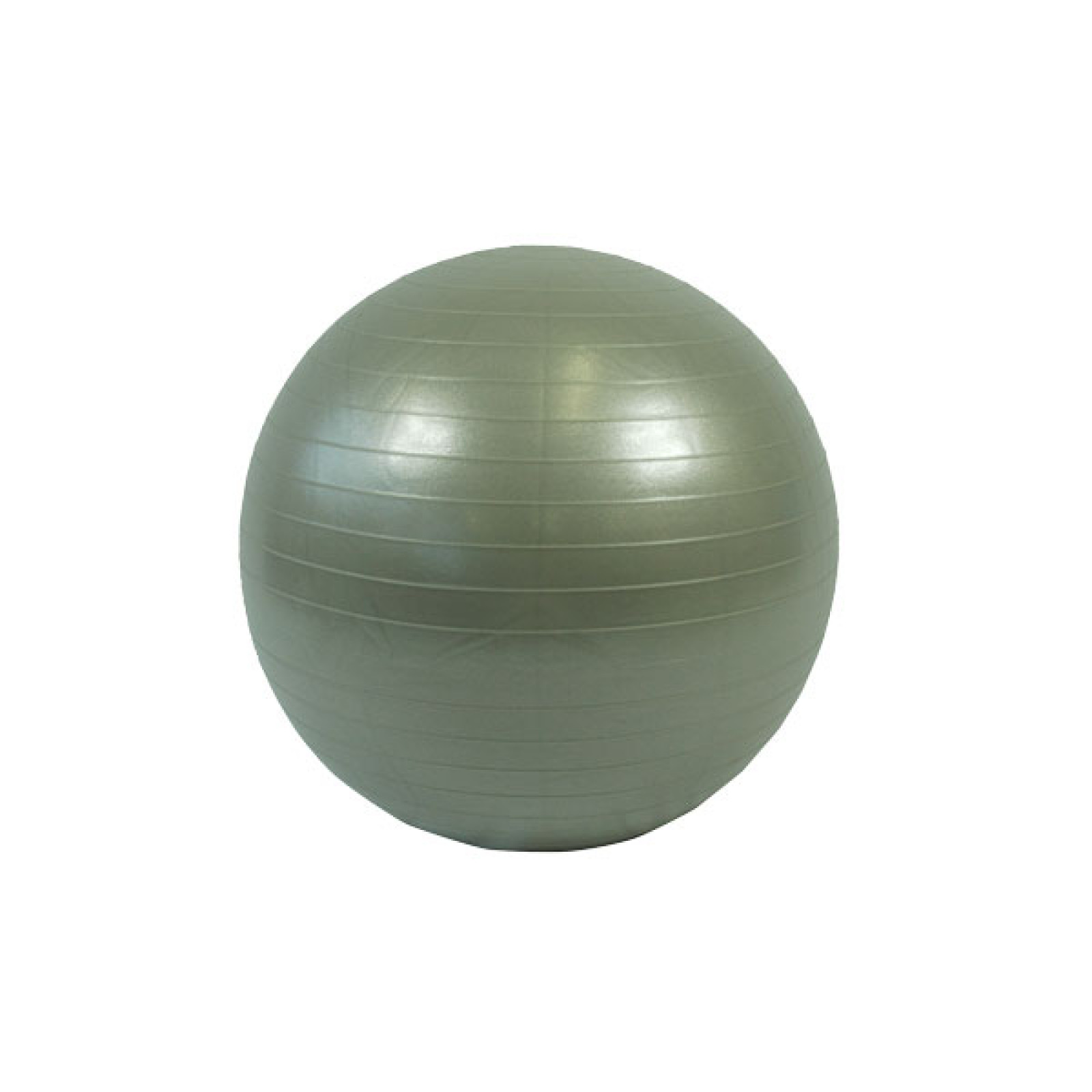 ELITE FITNESS ANTI-BURST GYM BALL - Wisechoice Fitness
